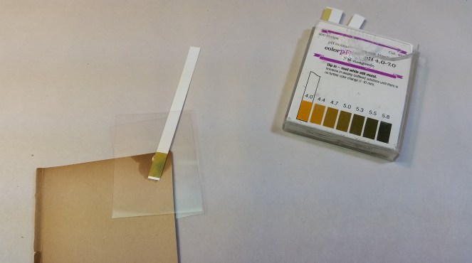 Paper Treatment & Repair – Arielle's Bindery