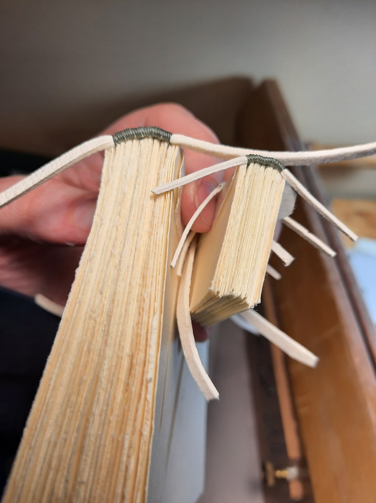 Historical Bindings Project: Limp Vellum Bindings – Arielle's Bindery