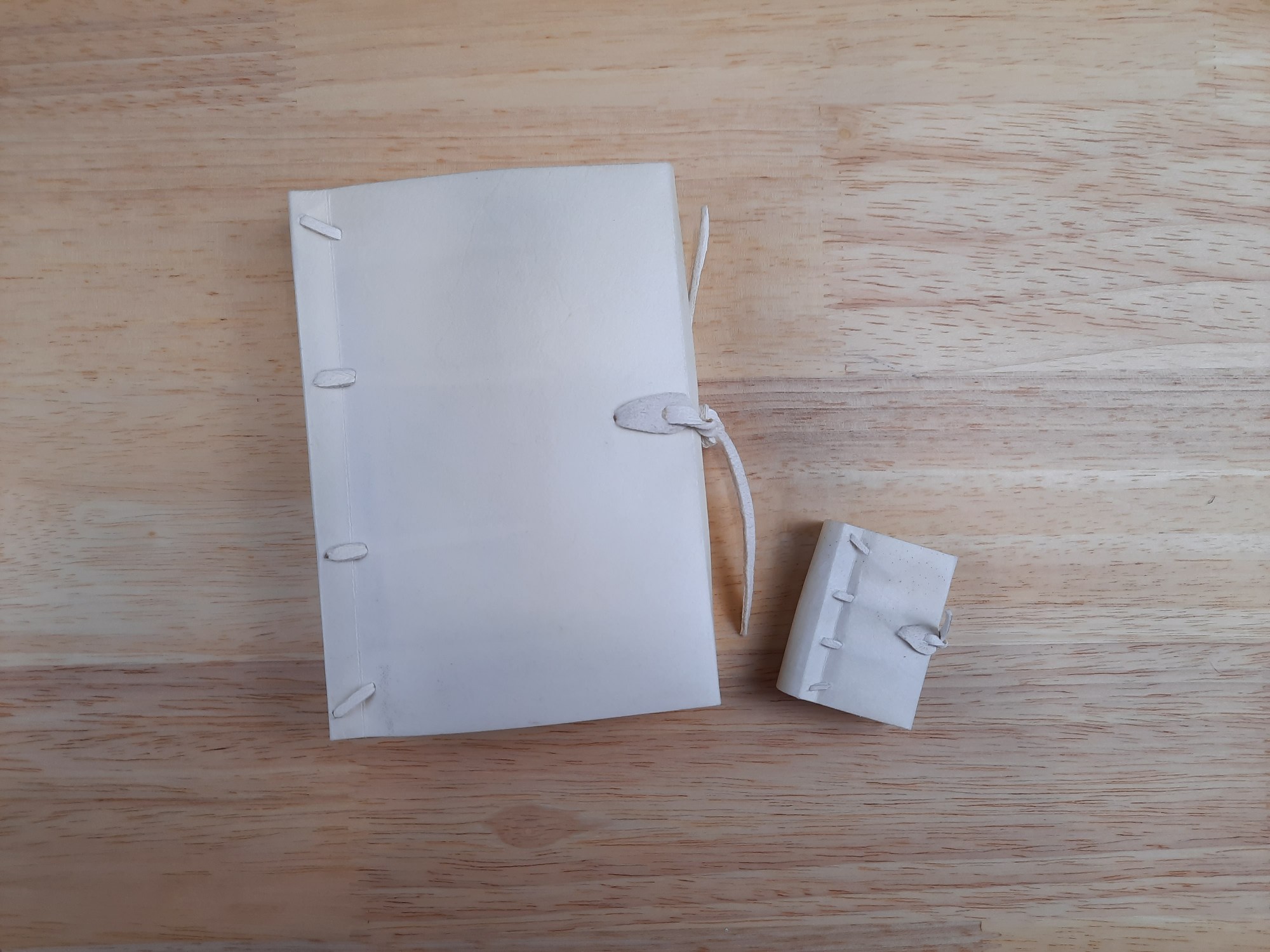 Historical Bindings Project: Limp Vellum Bindings – Arielle's Bindery