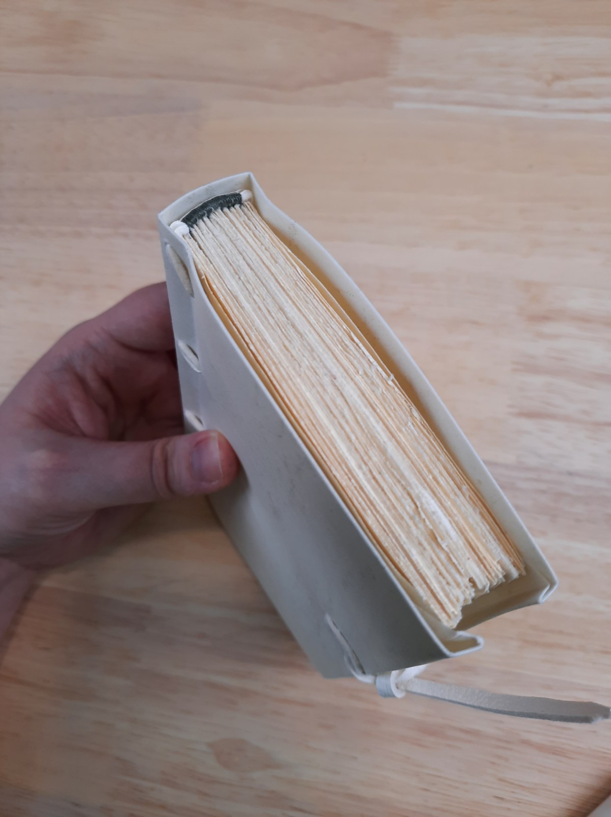 Historical Bindings Project: Limp Vellum Bindings – Arielle's Bindery