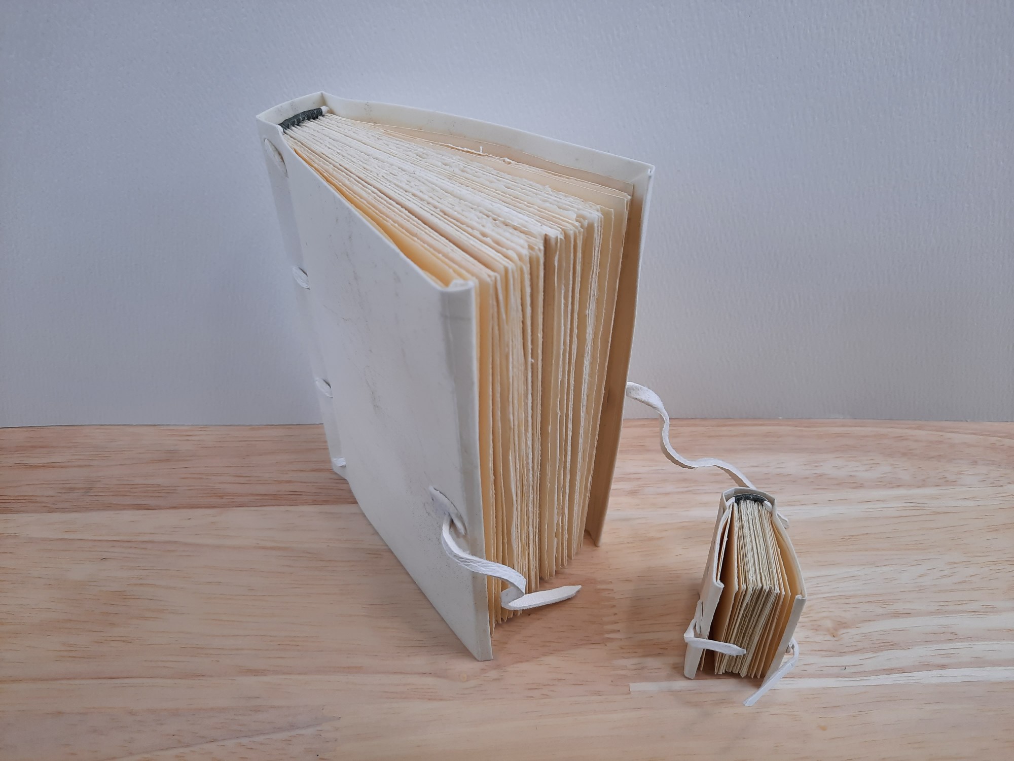 Historical Bindings Project: Limp Vellum Bindings – Arielle's Bindery