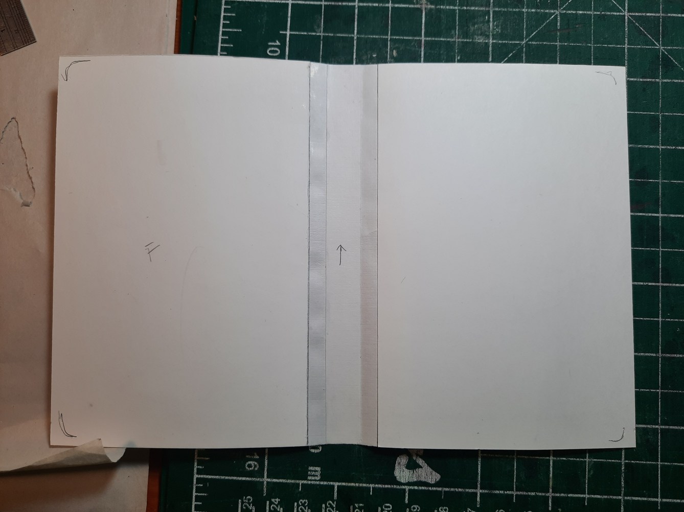 Historical Bindings Project: Limp Leather Binding – Arielle's Bindery