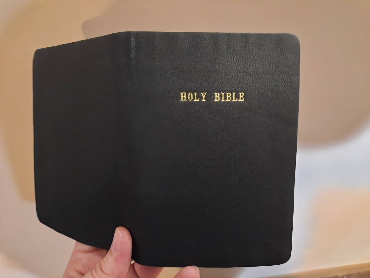 Historical Bindings Project: Limp Leather Binding – Arielle's Bindery