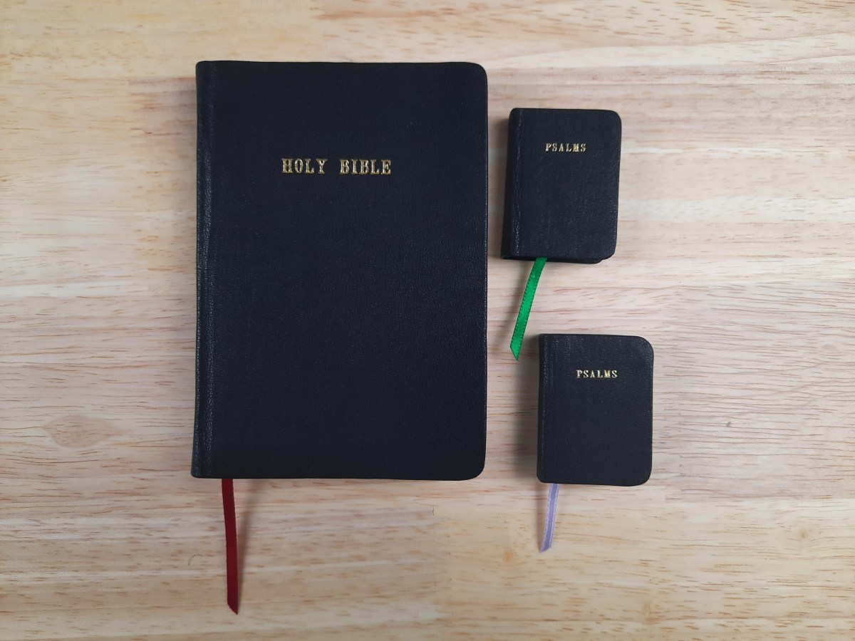 Historical Bindings Project: Limp Leather Binding – Arielle's Bindery